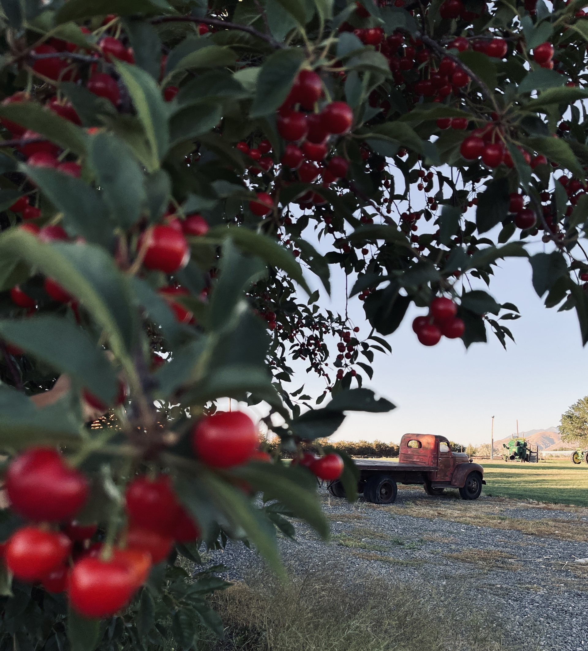 2024 Photo Contest Grand Prize Winner - Chelsea Rowley | Santaquin, UT