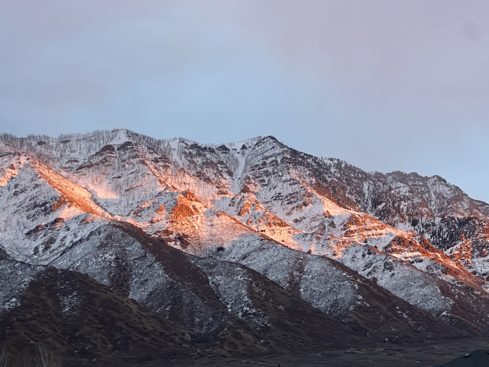 January 2025 Photo Contest Winner - Kristin Collins | Santaquin, UT