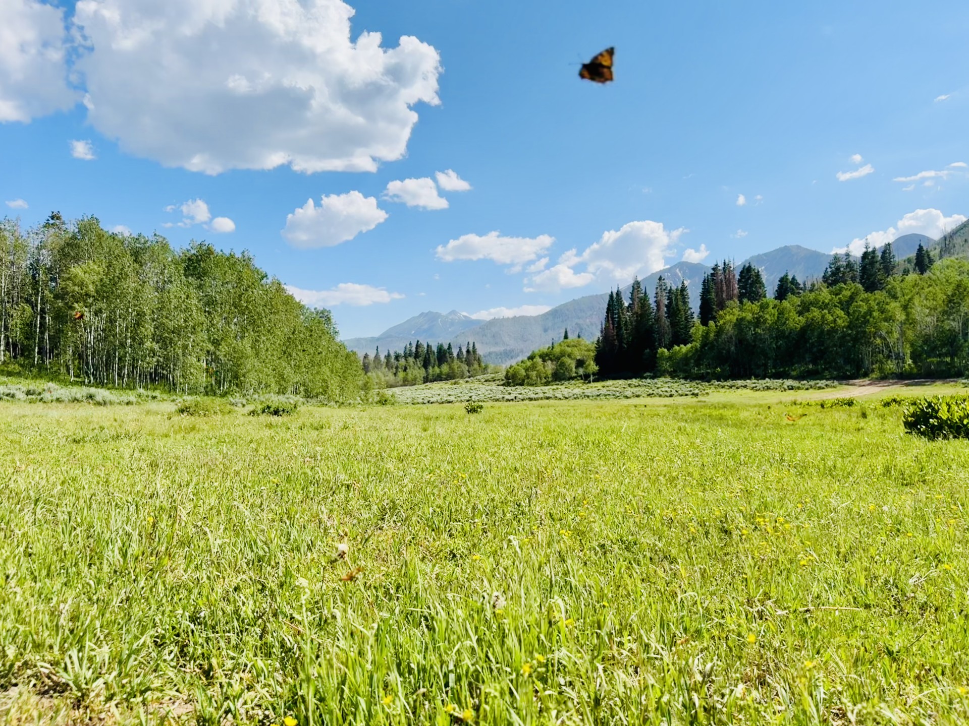 June 2025 Photo Contest Winner - Mikenna Penrod | Santaquin, UT