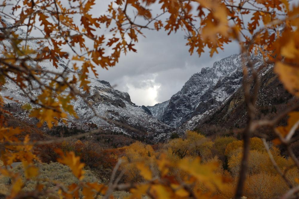 Photo Contest 2021 Images | Santaquin, UT