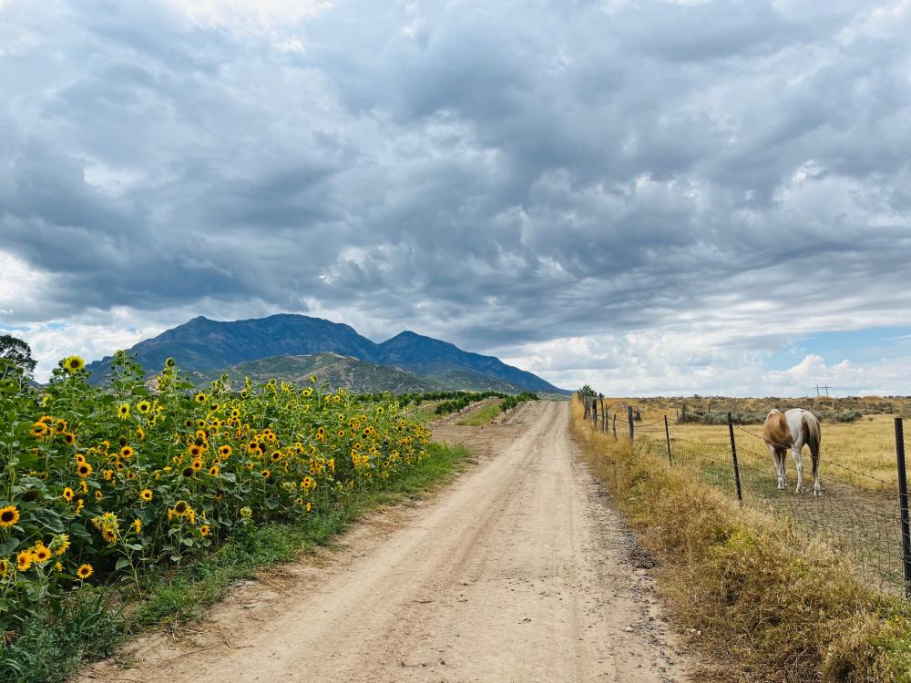 Photo Contest 2022 Images | Santaquin, UT